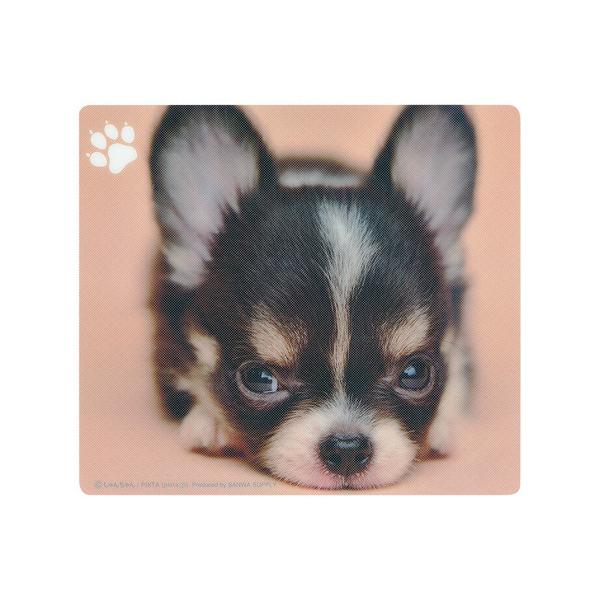 マウスがスムーズ、SmooZoo。■サイズ:W170×D150×H0.6mm■材質:表面/再生PET(ポリエチレンテレフタレート)裏面/低粘着ドット加工■写真品種説明:品種名/チワワ原産/中北米大陸(アメリカ・メキシコ)見た目以上に活発で好...