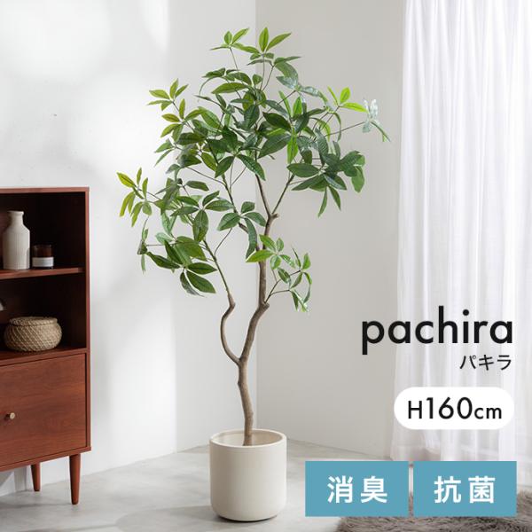 ■材質：【葉】ポリエチレン、エチレン酢酸ビニル【茎】ポリエチレン、鉄鋼【鉢】ポリプロピレン、天然木、コンクリート■脚部：■組立区分：組立式■お届け：通常1〜4営業日で発送となります■備考：【梱包サイズ】22cm×22cm×118cm【梱包重...