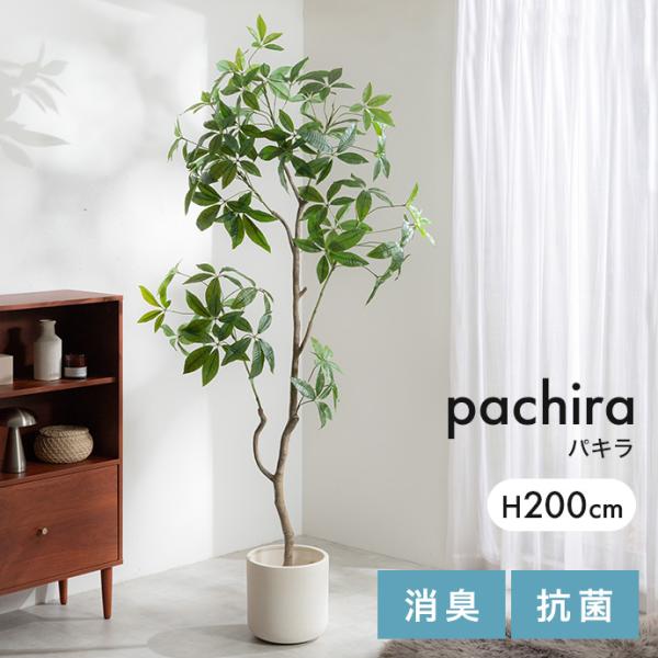 ■材質：【葉】ポリエチレン、エチレン酢酸ビニル【茎】ポリエチレン、鉄鋼【鉢】ポリプロピレン、天然木、コンクリート■脚部：■組立区分：組立式■お届け：通常1〜4営業日で発送となります■備考：【梱包サイズ】22cm×22cm×118cm【梱包重...