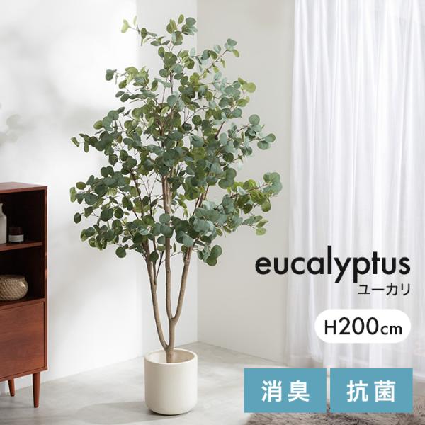 ■材質：【葉】ポリエステル【茎】ポリエチレン、鉄鋼【鉢】ポリプロピレン、天然木、コンクリート■脚部：■組立区分：組立式■お届け：通常1〜4営業日で発送となります■備考：【梱包サイズ】22cm×22cm×118cm【梱包重量】約7.7kg【商...