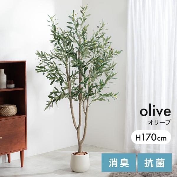 ■材質：【葉】ポリエステル【茎】ポリエチレン、鉄鋼【鉢】ポリプロピレン、天然木、コンクリート■脚部：■組立区分：組立式■お届け：通常1〜4営業日で発送となります■備考：【梱包サイズ】23cm×23cm×110cm【梱包重量】約7.4kg【商...