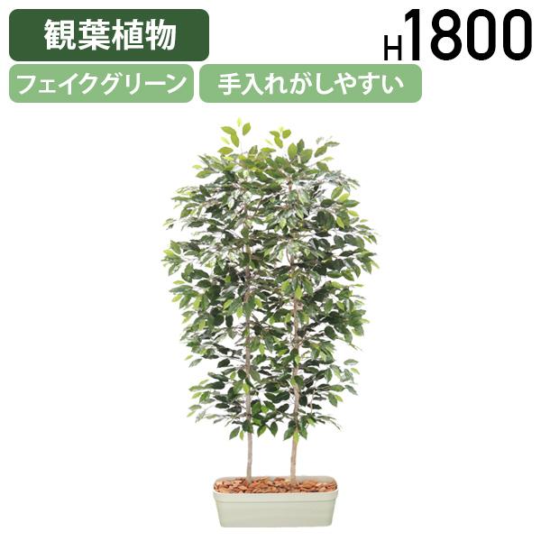 1つのプランターに2本を植えることでパーテーションとして活用できる、ベンジャミンのフェイクグリーンです。                                          ■この商品の関連キーワード             ...