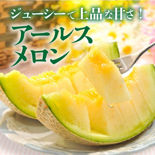果肉が柔らかで果汁が多く、上品な甘さが口いっぱいに広がります。アールスメロンは、果実はほぼ球体。果皮表面にはコルク質の網目。果肉は黄緑色で果汁が多く、とっても甘いメロンです。栽培は、温度・湿度を管理した温室内で行わなければならず、まめに手を...
