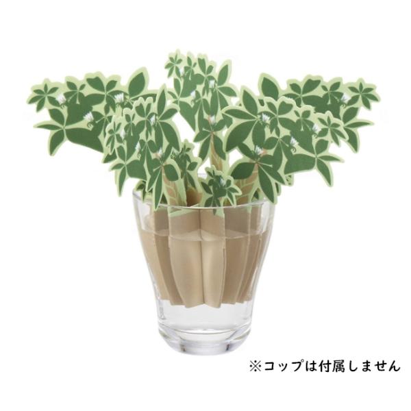 【※コップは付属しません※】種類／パキラ(JAN:4537208350164)サイズ／約17×15cm材質／ポリエステル不織布重量／約15gメーカー：エレメンツ※平日15時までのご注文で、平日1-3営業日以内にメール便発送いたします。　メー...