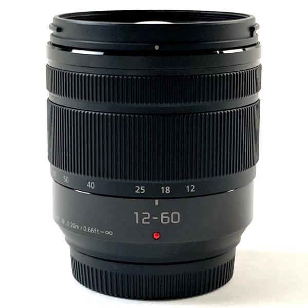 【メーカー名】Panasonic【製品名】LUMIX G VARIO 12-60mm F3.5-5.6 ASPH. POWER O.I.S H-FS12060【レンズ種類】一眼カメラ用レンズ（オートフォーカス）【カメラ付属品】レンズフード、...