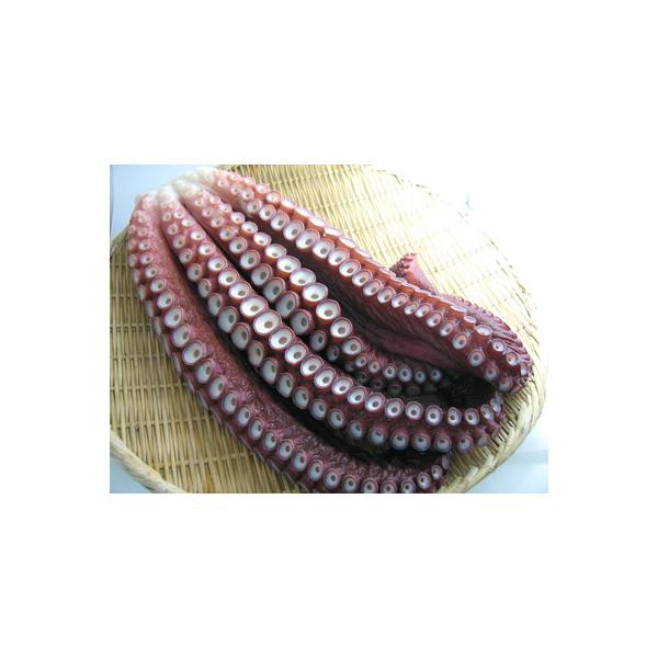 大蛸の足を当社職人が最高のゆで加減でボイルしました。噛めば噛むほど美味しく塩味も最高の真蛸です。カラシマヨネーズやワサビ醤油でお楽しみ下さい 。【足は１本です。】