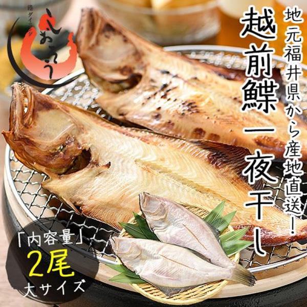 越前ガレイ 越前がれい カレイ かれい 干物 鰈 赤ガレイ 赤カレイ 赤鰈【内容量】大サイズ×2尾（体長約33cm前後）【原材料】福井県越前町産赤カレイ、食塩【お召し上がり方】加熱してお召し上がりください【賞味期限】ご到着から30日【配送方...