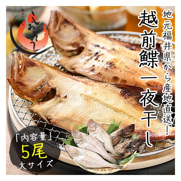越前ガレイ 越前がれい カレイ かれい 干物 鰈 赤ガレイ 赤カレイ 赤鰈【内容量】大サイズ×5尾（体長約33cm前後）【原材料】福井県越前町産赤カレイ、食塩【お召し上がり方】加熱してお召し上がりください【賞味期限】ご到着より30日【配送方...