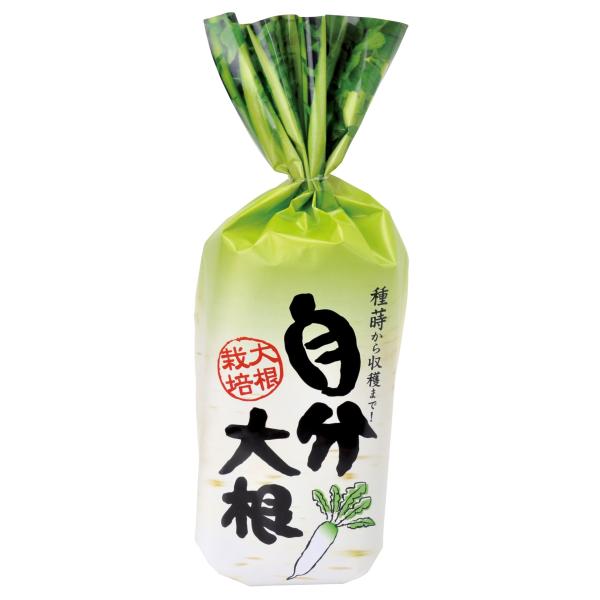 ◆システム反映の都合上、ご購入後でも品切れになっている場合があります。その場合、ご登録のメールアドレスに通知致します。必ずご確認をお願いします。◆サイズ・カラー等の記載が無い場合や複数記載がある場合があります。ご不明点は、ご購入前にご質問く...
