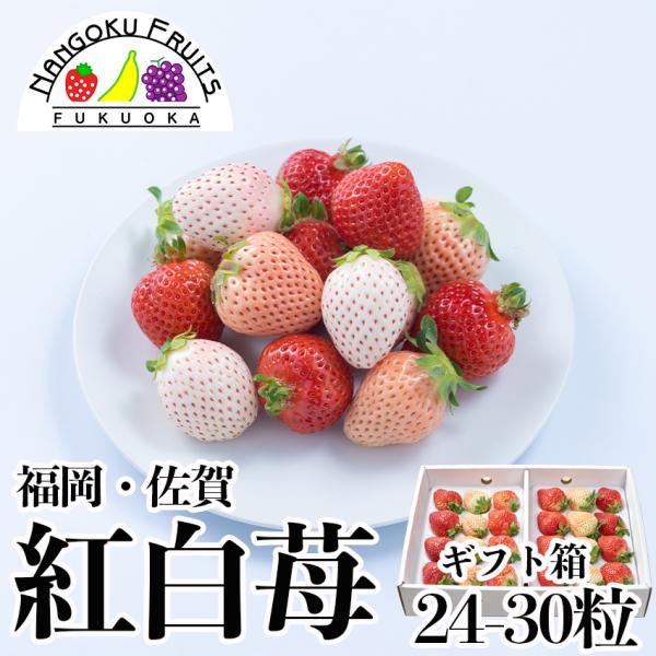 この商品は予約販売です。12月上旬頃より順次発送予定です。入荷状況により発送予定が前後する可能性がございます。見た目にもおめでたい、大人気の『紅白苺』希少な白いちごと、あまおう苺のセットです。商品名…福岡・佐賀産紅白いちごギフト箱（24-3...