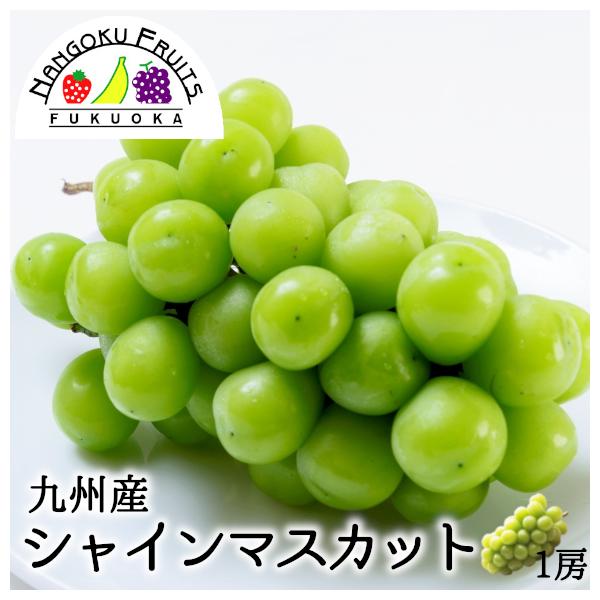 こちらの商品は予約販売です。7月上旬ごろより、入荷次第発送予定です。※産地状況により出荷時期が前後する場合がございます。種なしで皮ごと食べられるマスカット。実がしっかりとしていて食べやすく、高糖度で、パリッとした食感が最高です。商品名：シャ...