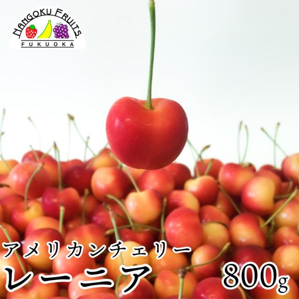 【予約商品】※6月中旬頃よりご予約順に順次発送予定でございます。※現地の状況や入荷状況により前後する可能性があります。予めご了承ください。※数量限定・ご予約順に順次発送のため、お届け日ご指定は承っておりません。お届け時間のご指定は可能です。...