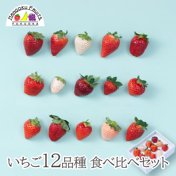 ※こちらの商品は日付指定不可でございます※・発送予定：1月中旬〜3月中旬予定・日付指定：×・時間指定：〇【セット内容】品種　：福岡産…あまおう,さちのか,桃薫,天使のいちご(白),すず,ゆきざくら(白)佐賀産…いちごさん,淡雪(白),雪うさ...