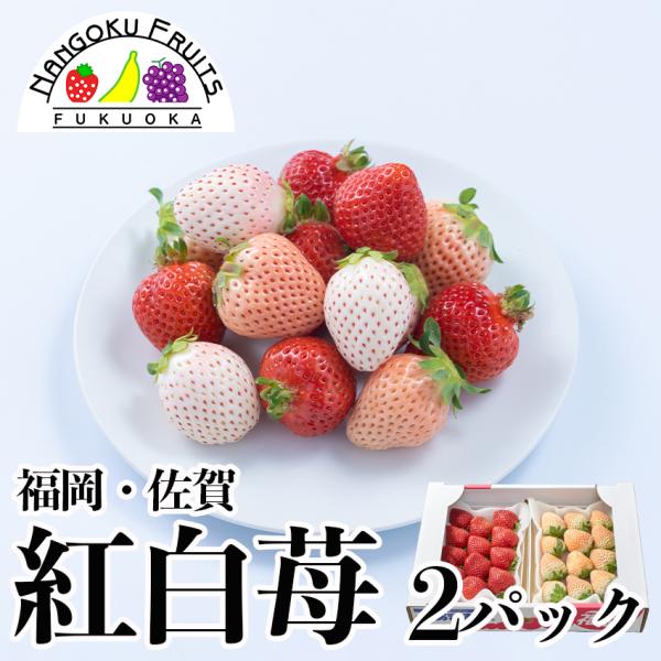 この商品は予約販売です。12月上旬頃より順次発送予定です。入荷状況により発送予定が前後する可能性がございます。見た目にもおめでたい、大人気の『紅白苺』希少な白いちごと、あまおう苺のセットです。商品名 … 福岡・佐賀産紅白いちご　2パック内容...
