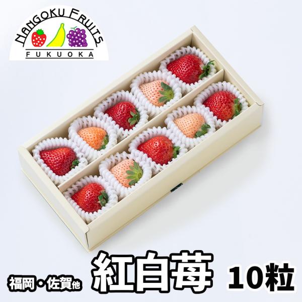 この商品は予約販売です。12月上旬頃より順次発送予定です。入荷状況により発送予定が前後する可能性がございます。見た目にもおめでたい、大人気の『紅白苺』希少な白いちごと、あまおう苺のセットです。商品名…福岡・佐賀産紅白いちごギフトボックス 1...