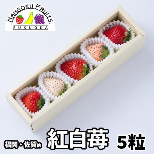 この商品は予約販売です。12月上旬頃より順次発送予定です。入荷状況により発送予定が前後する可能性がございます。見た目にもおめでたい、大人気の『紅白苺』希少な白いちごと、あまおう苺のセットです。商品名…福岡・佐賀産紅白いちごギフトボックス 5...