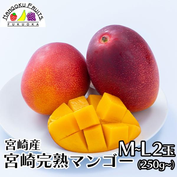 商品名…完熟マンゴーM/L2玉内容量…MまたはLサイズ 2玉(1玉あたり250ｇ以上)産   地…宮崎県消費期限…なるべくお早めにお召し上がり下さい。※画像はイメージです。※加算送料：北海道…￥2,000 (税込）  沖縄…￥1,500 (税込）