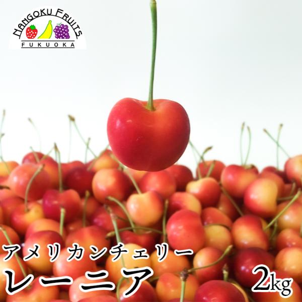 【予約商品】※6月中旬頃よりご予約順に順次発送予定でございます。※現地の状況や入荷状況により前後する可能性があります。予めご了承ください。※数量限定・ご予約順に順次発送のため、お届け日ご指定は承っておりません。お届け時間のご指定は可能です。...
