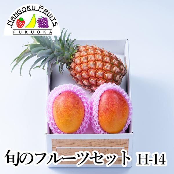 旬の“おいしい”をギュッと１箱に詰め込みました。お世話になっているあの方へ…季節のご挨拶にいかがですか？南国フルーツから心を込めて、旬のフルーツギフトをお届けします。セット内容：沖縄産パイン…1玉　　　　　　宮崎産完熟マンゴー…L2玉(1玉...