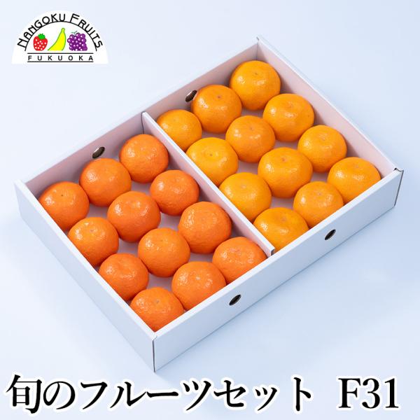 旬の“おいしい”をギュッと１箱に詰め込みました。お世話になっているあの方へ…季節のご挨拶にいかがですか？南国フルーツから心を込めて、旬のフルーツギフトをお届けします。◆内容量◆みかん 9-12玉 ＊時期により極早生(緑色のみかん)になる場合...