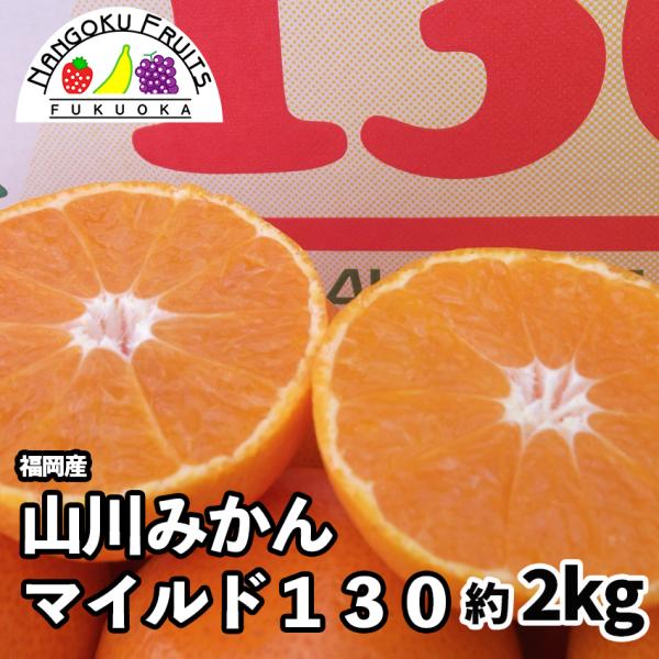 この商品は予約販売です。11月下旬頃より順次発送予定です。入荷状況により発送予定が前後する可能性がございます。肥沃な大地と有明海を望む恵まれた環境に囲まれた、みかんの名産地として名高い山川町で収穫された山川みかん、山川マイルド130は、山川...