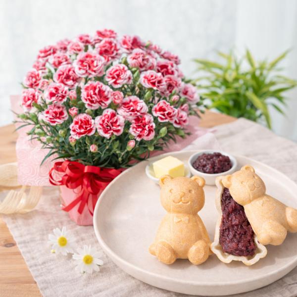 母の日の贈り物に毎年選ばれている、**当店人気No.1カーネーション「いちごホイップ」**とかわいいくまのモナカをセットにした、母の日限定ギフトです。華やかで美しい色合いの「いちごホイップ」は、年代を問わず喜ばれる鉢植えカーネーション。さら...