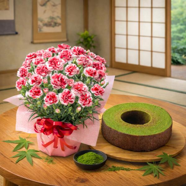 母の日の贈り物に毎年選ばれている、**当店人気No.1カーネーション「いちごホイップ」**と宇治抹茶バウムクーヘンをセットにした、母の日限定ギフトです。可愛らしい花姿の「いちごホイップ」は、育てながら長く楽しめる母の日定番の鉢花。さらに、宇...