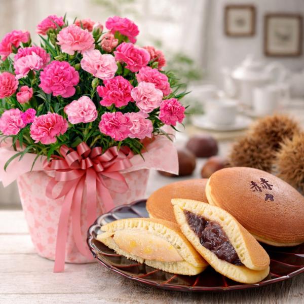 母の日の贈り物に毎年選ばれている、**カーネーション「さくらもなか」**と**生どら焼き 赫々（かくかく）**をセットにした、母の日限定ギフトです。淡いピンク色がやさしい印象の「さくらもなか」は、60代・70代・80代のお母さんにも人気の鉢...