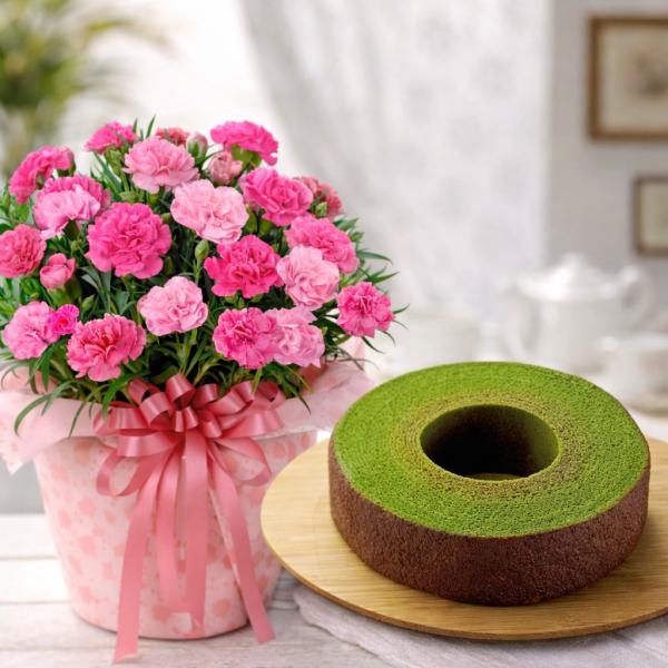 母の日の贈り物に毎年選ばれている、**カーネーション「さくらもなか」**と宇治抹茶バウムクーヘンをセットにした、母の日限定ギフトです。やさしい色合いの「さくらもなか」は、育てながら長く楽しめる母の日定番の鉢花。さらに、宇治抹茶の香りとほろ苦...