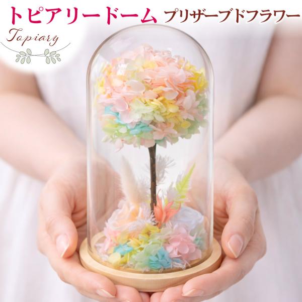 感謝の気持ちを形にできる、母の日向けトピアリータイプのプリザーブドフラワーギフト。丸みのある可愛らしいフォルムが特徴のトピアリーは、インテリア性が高く、飾るだけで空間を華やかに演出します。水やりやお手入れが不要な枯れないお花なので、美しい状...