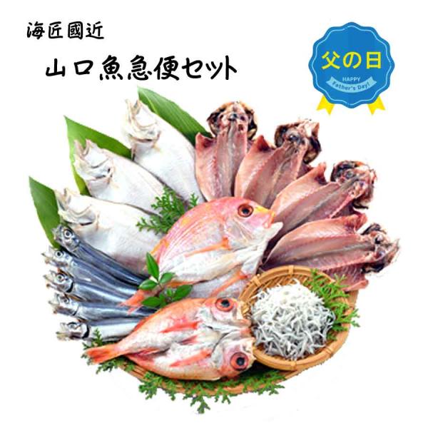 ■あじの開き（山口県産）・・・・・・４枚■カレイ一汐（山口県産）・・・・・・３枚■連子鯛開き（山口県産）・・・・・・１枚■のどぐろ開き（山口県産）・・・・・・１枚■釜揚げちりめん（国産）・・・・・・60ｇ■うるめ丸干し（山口県産）・・・・・...
