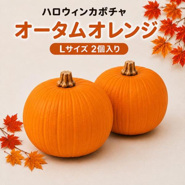 北海道・北空知産の本物のハロウィンカボチャ「オータムオレンジ」です。鮮やかなオレンジ色と、ハロウィンらしい丸みのある姿が特徴。Lサイズ・直径約20〜22cm前後の生かぼちゃを2個お届けします。玄関やリビングのハロウィン飾りはもちろん、店舗、...