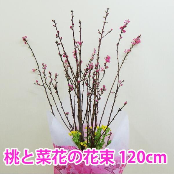 桃の花 花桃 ひな祭り 花 送料無料 【桃の花と菜の花束（豪快に飾れるロングサイズ) 】  花もも ハナ桃 なの花 ナノハナ 菜花 鉢植え 苗 ひなまつり 雛祭り 花  花束 ひなまつり 矢口桃 お供え 花ギフト ポイント消化 100円 3...