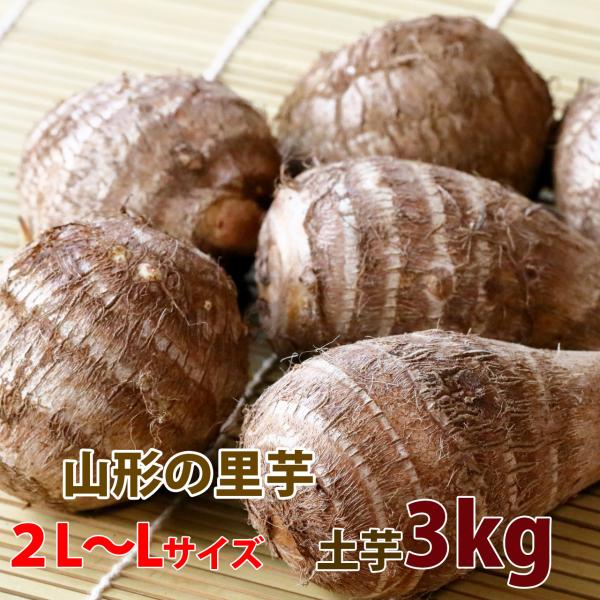 【発売日：2026年09月20日】里芋 さといも 山形 送料無料 芋 土付き皮付き  Ａ品 ２Ｌ?Ｌ 3kg 丸勘山形 さといも サトイモ とろとろ 山形 海老芋 粉 皮むき 冷凍 芋煮会  農産物 ポイント消化 100円 300円 500円