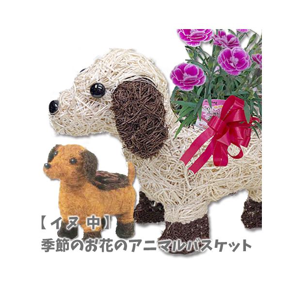 アニマルバスケット 犬 中 母の日 父の日 2025 プレゼント結婚記念日 赤 ピンク カーネーション ラベンダー 観葉植物 季節の花 誕生日 動物 寄せ植え 寄せ鉢 鉢植え