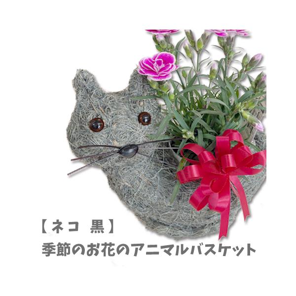 アニマルバスケット 猫 黒 母の日 父の日 2025 プレゼント結婚記念日 赤 ピンク カーネーション ラベンダー 観葉植物 季節の花 誕生日 動物 寄せ植え 寄せ鉢 鉢植え