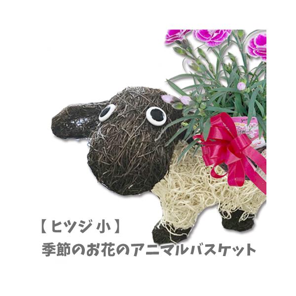 アニマルバスケット ヒツジ 小 母の日 父の日 2025 プレゼント結婚記念日 赤 ピンク カーネーション ラベンダー 観葉植物 季節の花 誕生日 動物 寄せ植え 寄せ鉢 鉢植え