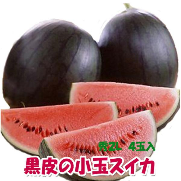 【発売日：2026年07月20日】スイカ 小玉スイカ 尾花沢スイカ 西瓜 贈答用 『 黒皮 スイカ なつここあ 又は ひとりじめボンボン 』 秀2L 4玉入り ギフト すいか 送料無料 甘い 尾花沢スイカ お盆 お中元お供え 農産物 ポイン...