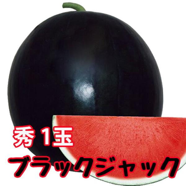【発売日：2026年07月20日】ブラックジャック スイカ 種無しスイカ 送料無料【  種なしスイカ ブラックジャック 秀2L 2玉入り7kg 2玉入り 】黒皮 尾花沢スイカ スイカ 西瓜 訳あり お中元 お盆 お供え 山形 すいか 農産物...