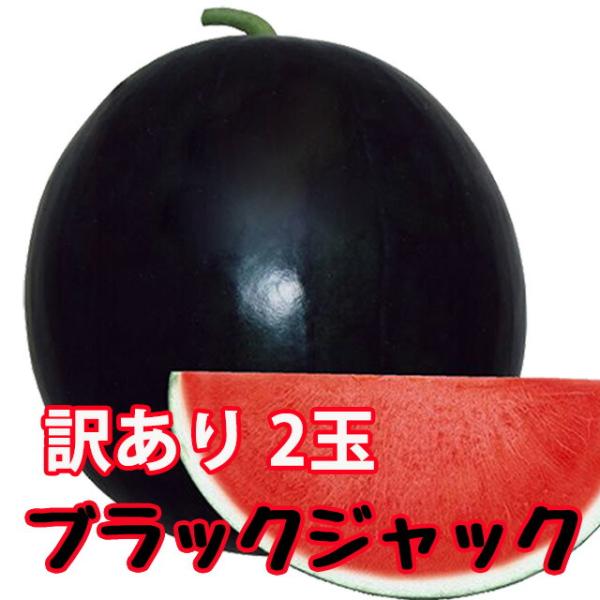 【発売日：2026年07月20日】ブラックジャック スイカ 種無しスイカ 送料無料 【 種なしスイカ ブラックジャック 訳あり ご家庭用 2玉入り 6kg?7kg 】黒皮 尾花沢スイカ スイカ 西瓜 訳あり 敬老の日 お彼岸 山形 すいか ...