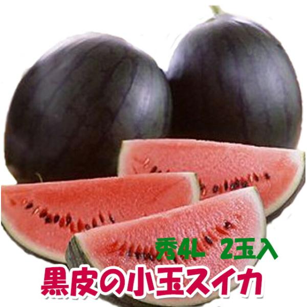 【発売日：2026年07月20日】スイカ 小玉スイカ 尾花沢スイカ 西瓜 贈答用 『 黒皮 スイカ なつここあ 又は ひとりじめボンボン 』 秀4L 2玉入り ギフト すいか 送料無料 甘い 尾花沢スイカ お盆 お中元お供え 農産物 ポイン...
