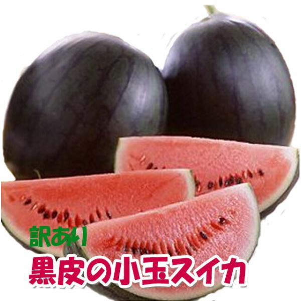 【発売日：2026年07月20日】スイカ 小玉スイカ 尾花沢スイカ 西瓜 訳あり 『 黒皮 スイカ なつここあ 又は ひとりじめボンボン 』 ご家庭用 3〜5玉入り ギフト すいか 送料無料 甘い 尾花沢スイカ お盆 お中元  お供え 農産...
