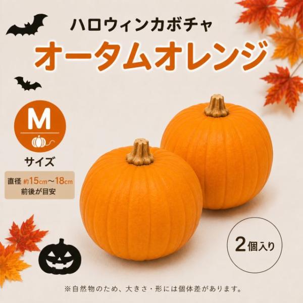 北海道・北空知産の本物のハロウィンカボチャ「オータムオレンジ」です。鮮やかなオレンジ色と、ハロウィンらしい丸みのある姿が特徴。Mサイズ・直径約15〜18cm前後の生かぼちゃを2個お届けします。玄関やリビングのハロウィン飾りはもちろん、店舗、...