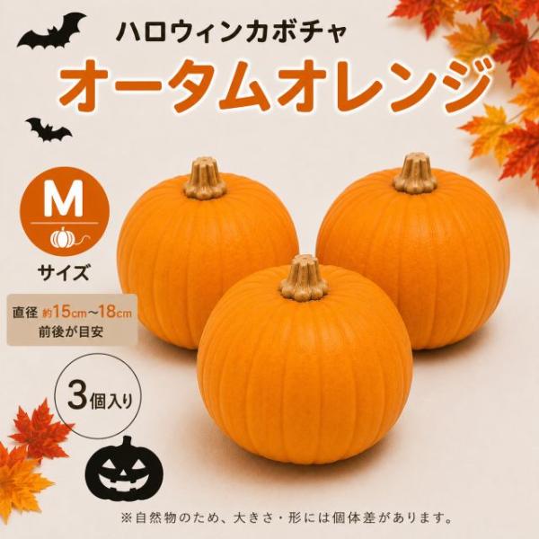 北海道・北空知産の本物のハロウィンカボチャ「オータムオレンジ」です。鮮やかなオレンジ色と、ハロウィンらしい丸みのある姿が特徴。Mサイズ・直径約15〜18cm前後の生かぼちゃを2個お届けします。玄関やリビングのハロウィン飾りはもちろん、店舗、...