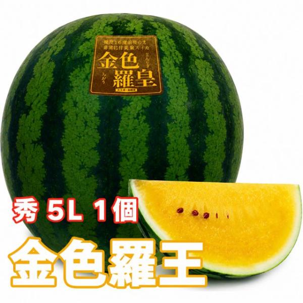 【発売日：2027年07月30日】山形県産の希少な黄色スイカ「金色羅王（こんじきらおう）」秀5Lサイズを1玉入り1ケースでお届けします。金色羅王は、鮮やかな黄金色の果肉と糖度15度以上の濃厚な甘さ、シャリッとした食感が特徴の大玉スイカです。...