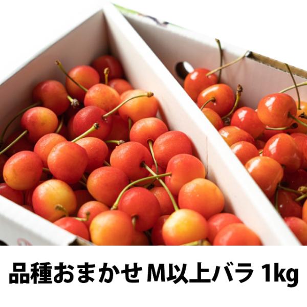 【発売日：2026年06月10日】さくらんぼ 2025年 佐藤錦 秀 L フードパック詰め 400ｇ s10 佐藤錦 山形 贈答 ギフト 送料無料 手詰め 並べ詰め プレゼント チェリー お中元 サクランボ 時期 さくらんぼ佐藤錦 予約 1...