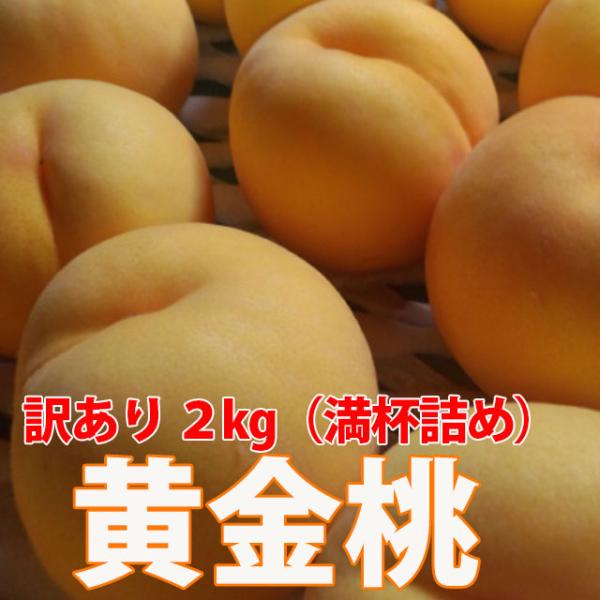 【発売日：2026年08月15日】黄金桃 金桃 訳あり 2ｋｇ 6〜9玉  加藤農園 有機減農薬 ※発送期間は 8月28日頃〜9月7日頃 送料無料