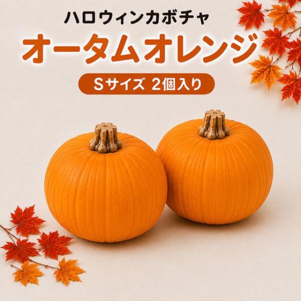 北海道・北空知産の本物のハロウィンカボチャ「オータムオレンジ」です。鮮やかなオレンジ色と、ハロウィンらしい丸みのある姿が特徴。S 2個 (直径約12〜15ｃｍ）前後の生かぼちゃを2個お届けします。玄関やリビングのハロウィン飾りはもちろん、店...