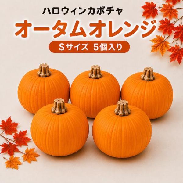 北海道・北空知産の本物のハロウィンカボチャ「オータムオレンジ」です。鮮やかなオレンジ色と、ハロウィンらしい丸みのある姿が特徴。S 5個 (直径約12〜15ｃｍ）前後の生かぼちゃを2個お届けします。玄関やリビングのハロウィン飾りはもちろん、店...