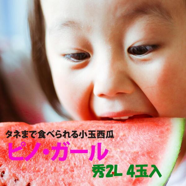 小玉スイカ 山形 送料無料 【 ピノガール 秀2Ｌ 4玉入り 】 尾花沢スイカ 山形産 小玉すいか 敬老の日 お彼岸 西瓜 贈答用 訳あり すいか 農産物 ポイント消化 100円 300円 500円 お中元